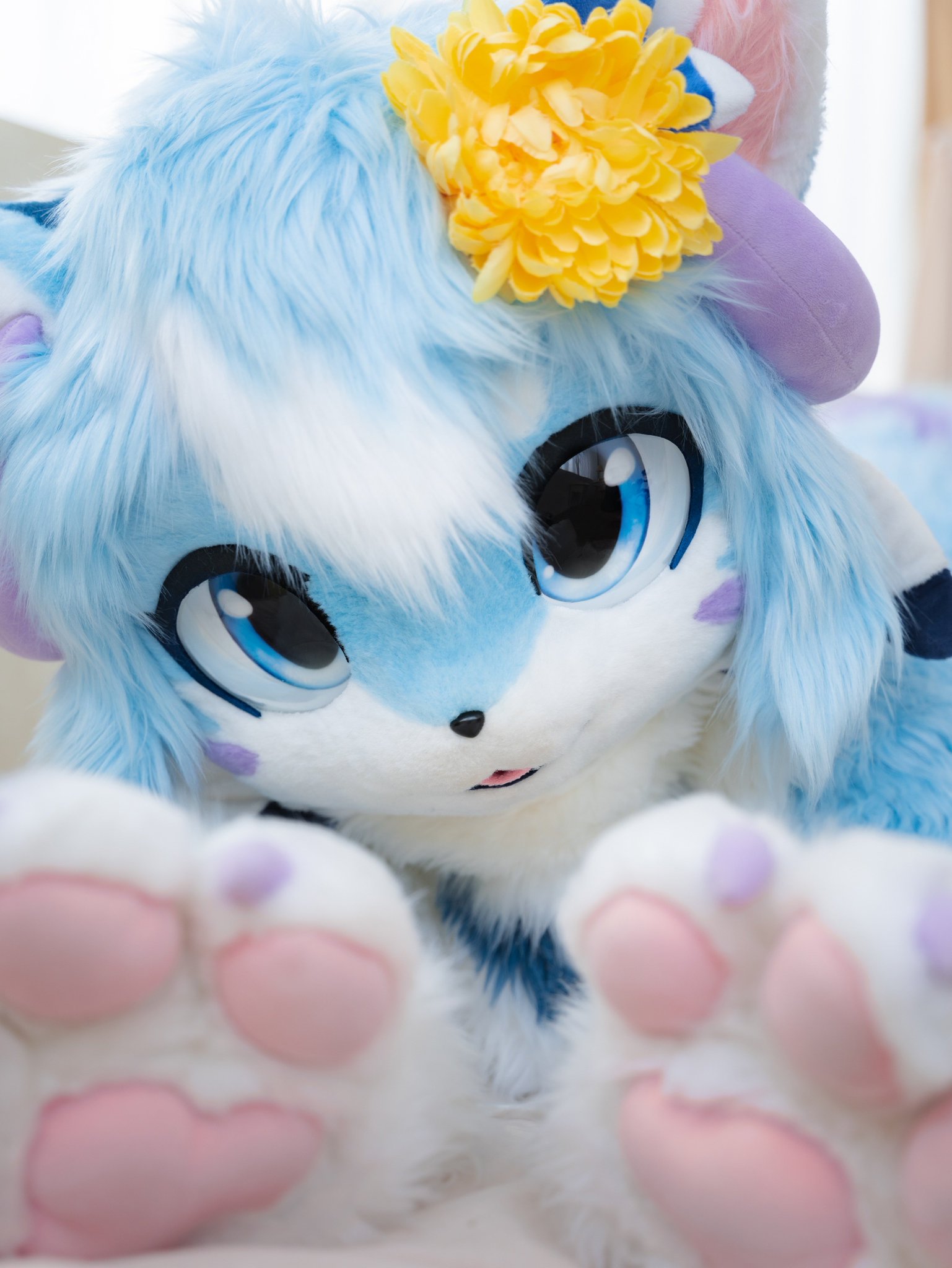 TERAPIA on Twitter: "뒹굴 #FursuitFriday https://t.co/EYYmT3gfz1" / Twitter