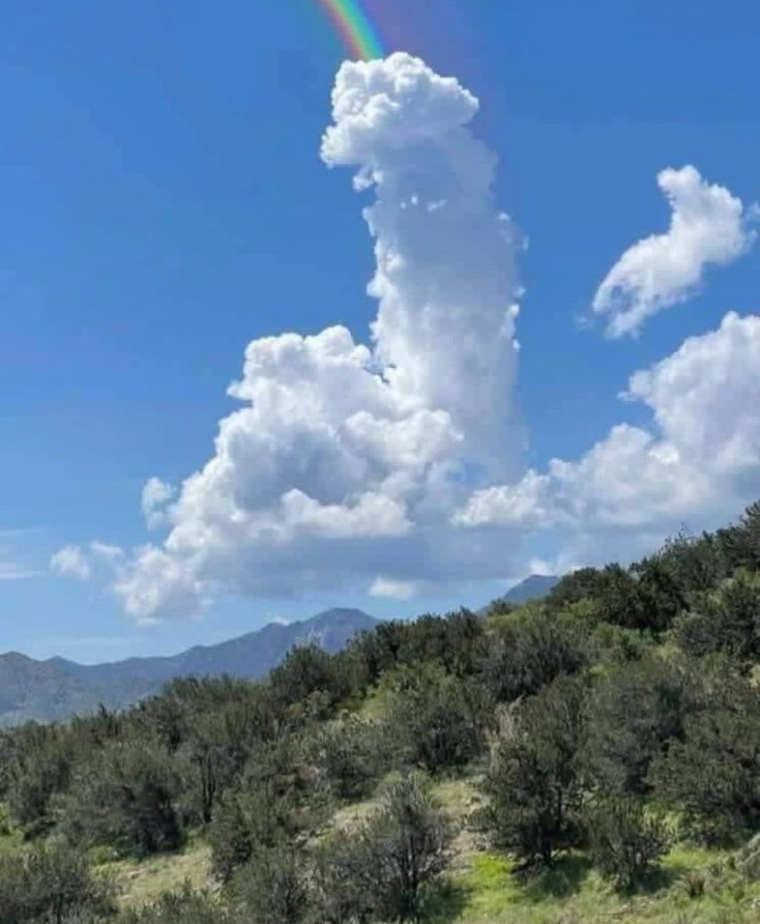 💐🧼 !! J1TT3R on Twitter: "gay dick cum cloud https://t.co/aB1XOOPvnx" / Twitter