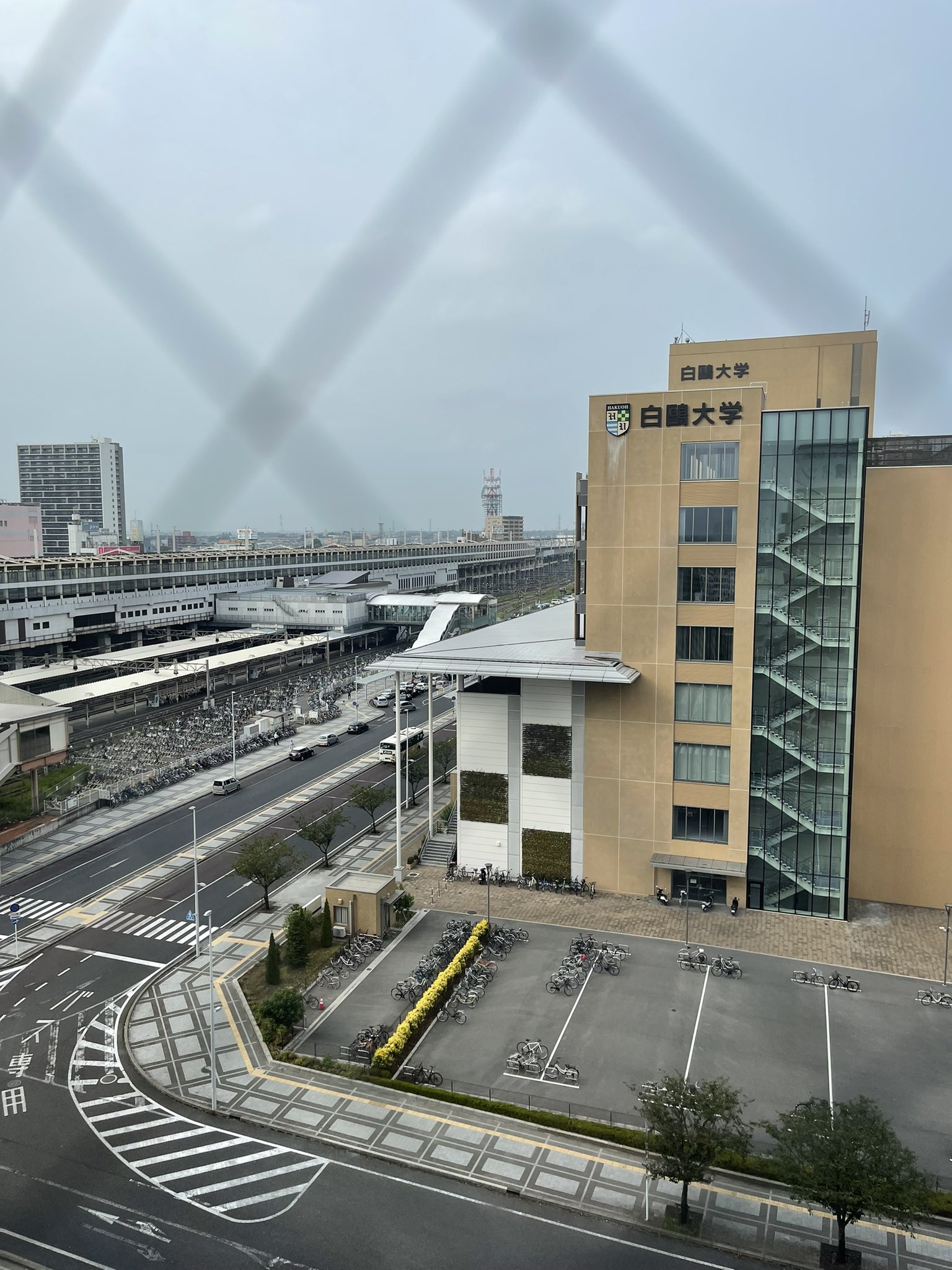 ポール@僕ちゃん天才クレイジーマインド投資家w (@crazymind_poul) / Twitter