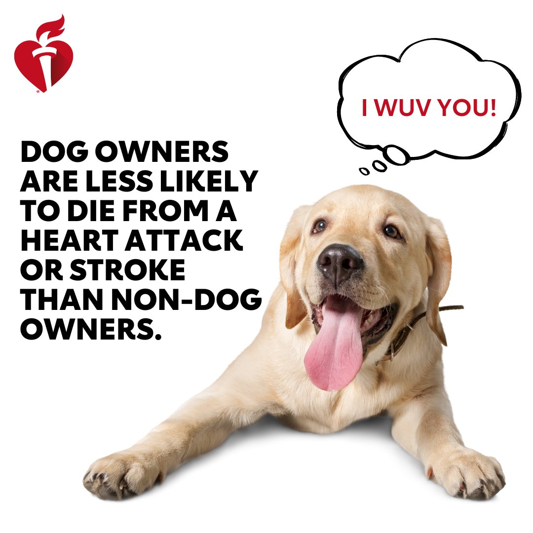 Why Dogs Are Good Pets Facts