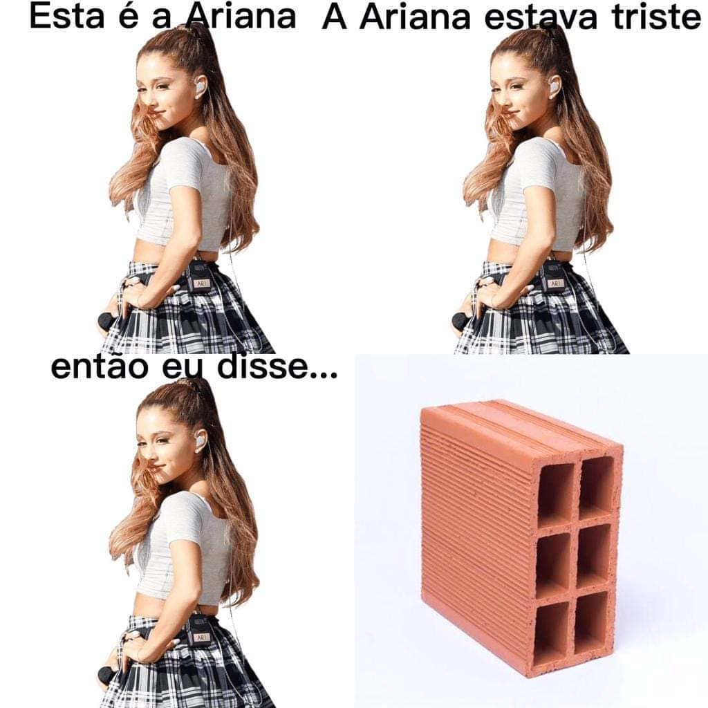 Meme Burros Ou Nada Inteligente 🇲🇫 On Twitter