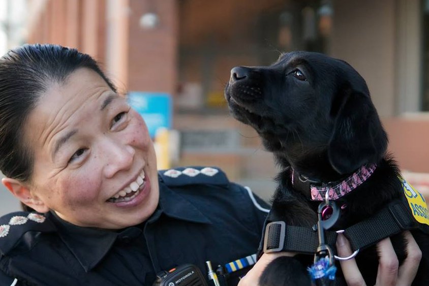 Howard Chow's Instagram, Twitter & Facebook on IDCrawl