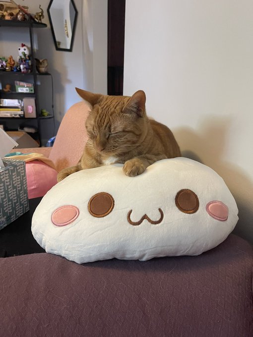 TW Pornstars - Venus O' Rickmon. The latest pictures and videos from ...