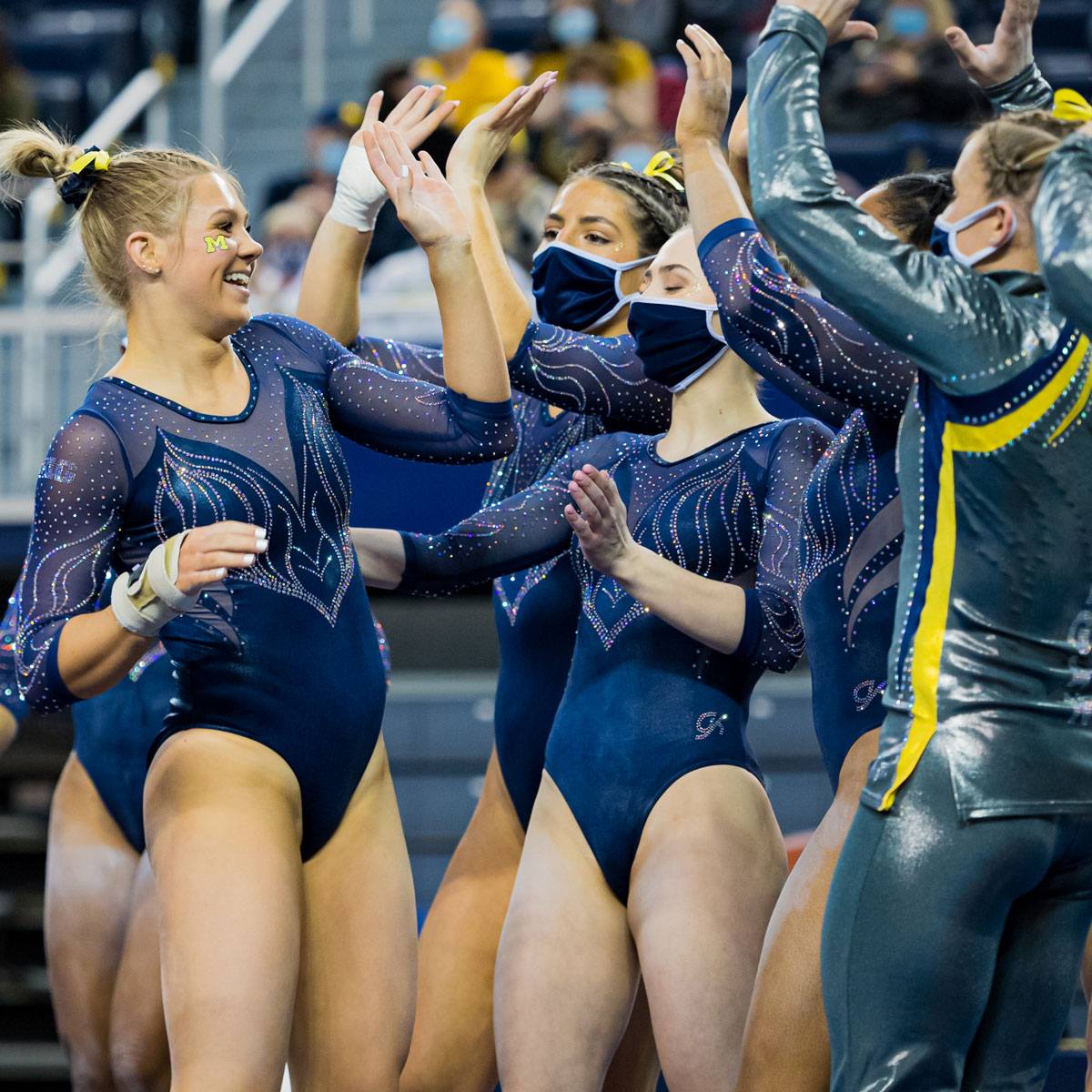 Michigan Gymnastics