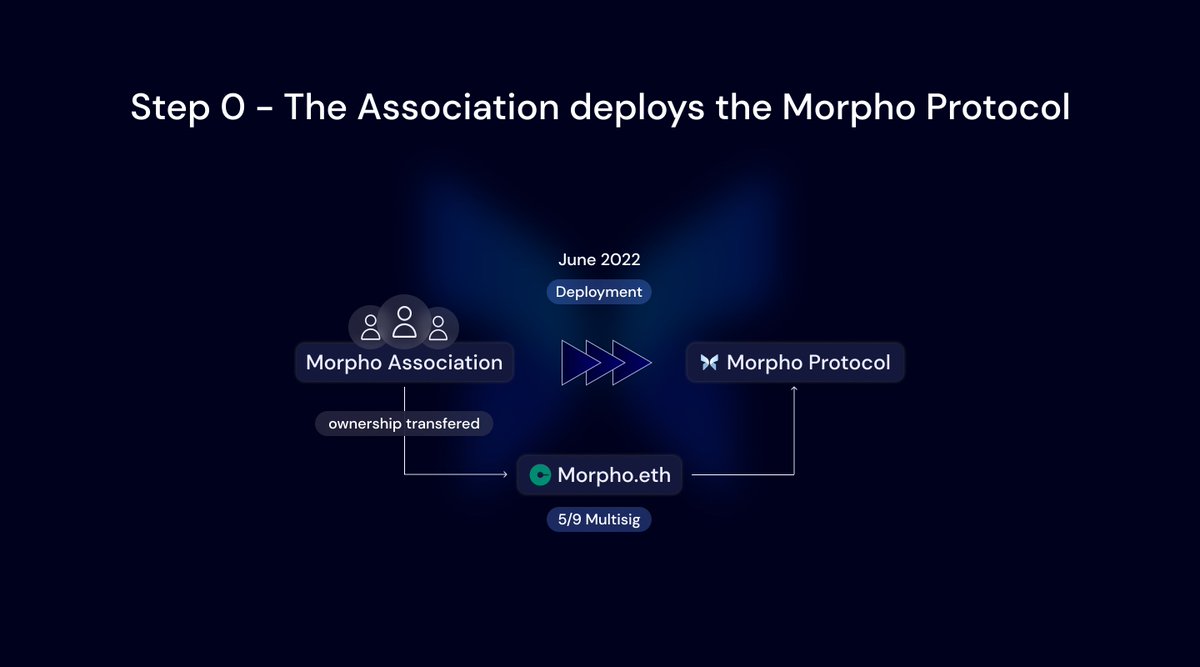 Morpho Labs 🦋 on Twitter: "Step 0 - Initial Setup. The first version of Morpho was deployed by ...