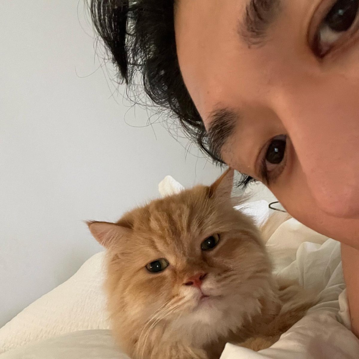 khh/krnb boys on Twitter: "code_kunst; code kunst"