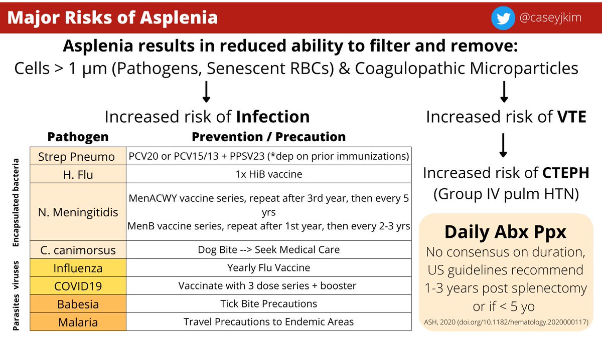 1/ Why does a splenectomy by @caseyjkim – Unroll Thread – We unroll ...