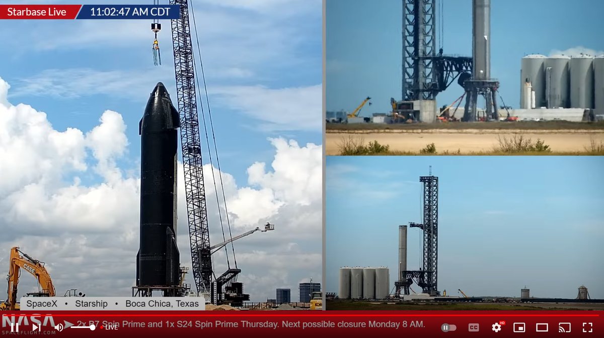 Prime Material Falcon