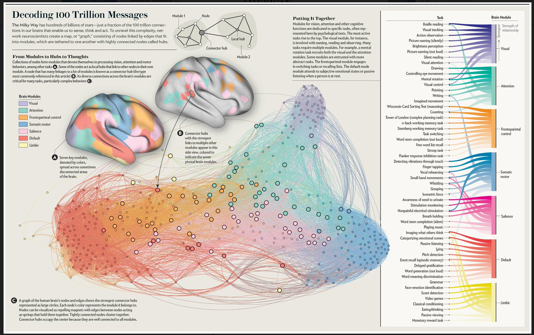 Oren Gottfried, MD on Twitter: "How does your brain deal with 100 ...