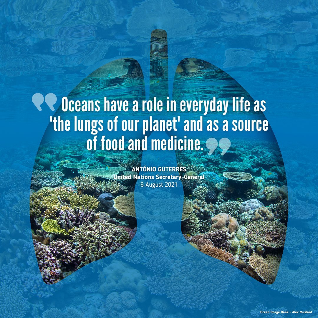 United Nations on Twitter: ""Oceans have a role in everyday life as the ...