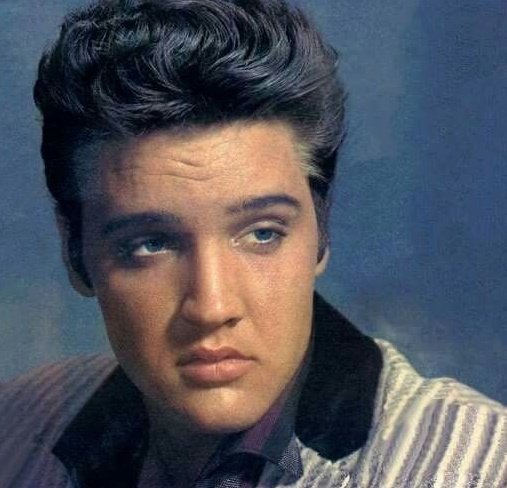 Elvis Jailhouse Rock Hair