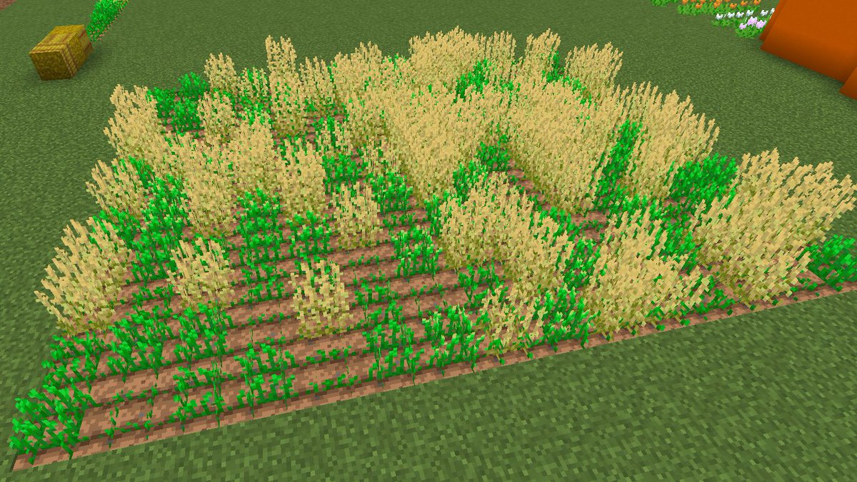 Minecraft Wheat Texture