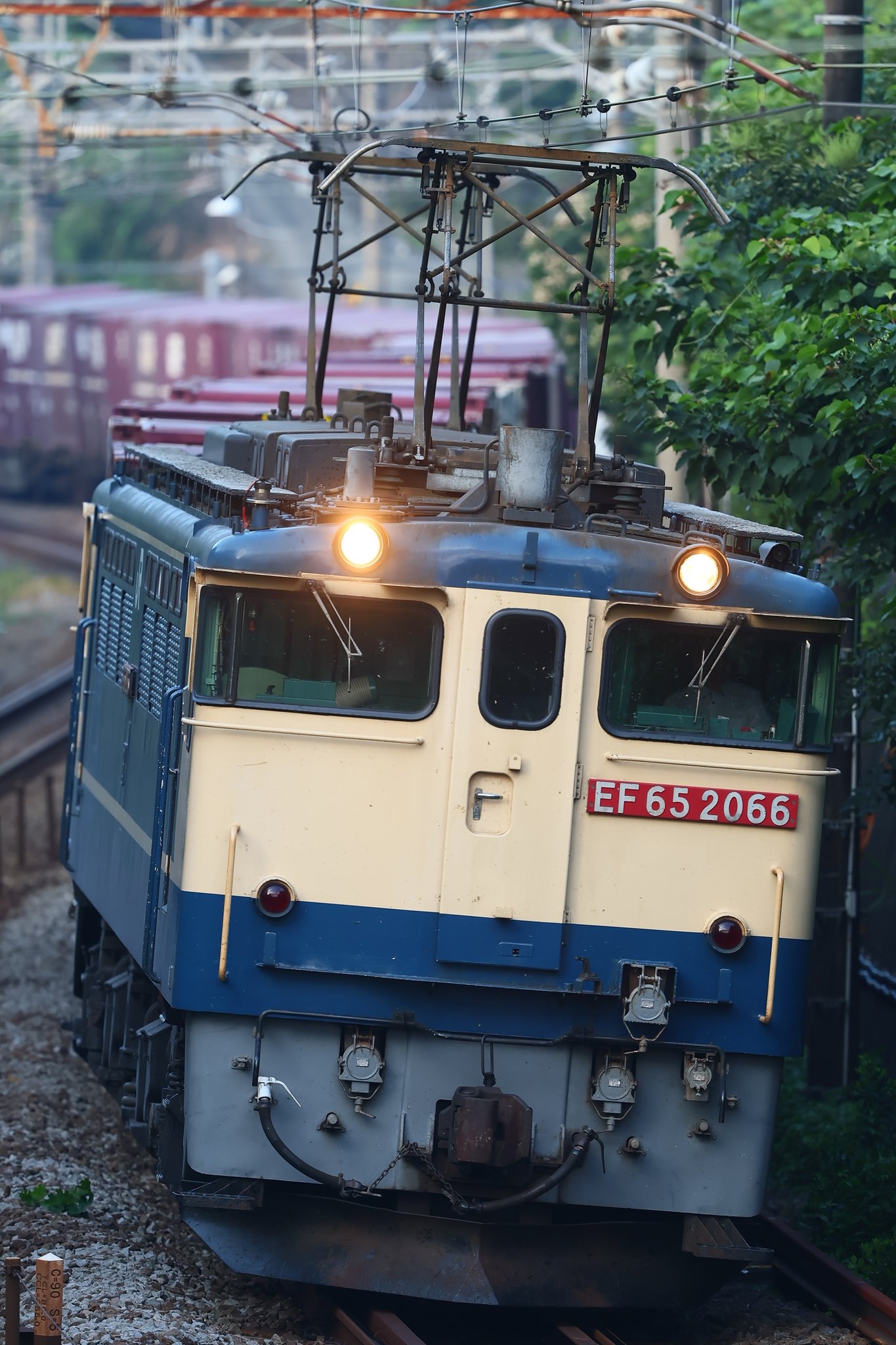 ちゃんぷる on Twitter: "2022/8/27 5086レ EF65 2066+コキ https://t.co/syFUaIM6fC" / Twitter