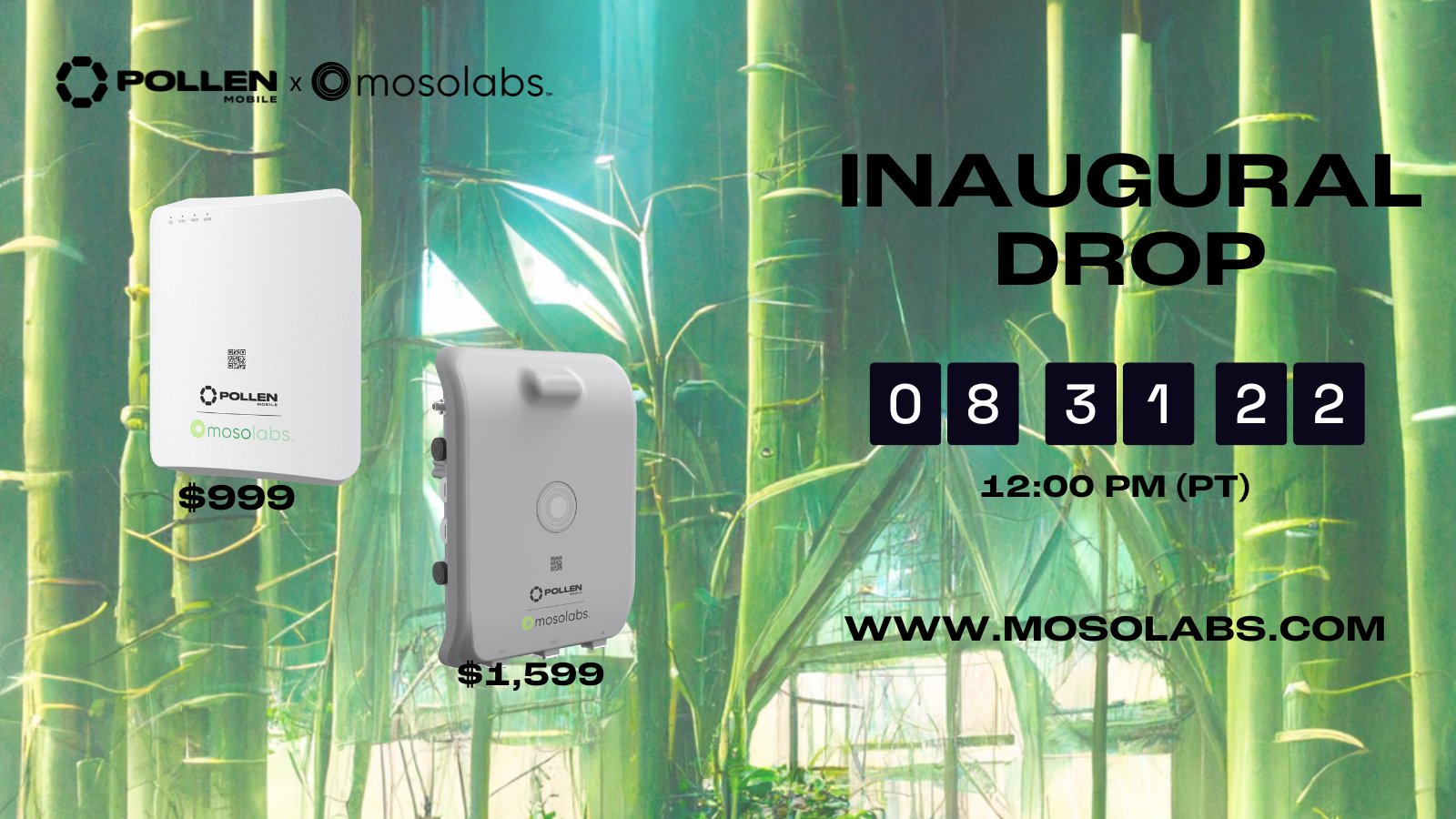 Pollen Mobile 🐝 on Twitter: "Our new @mosolabs Flowers are being plucked from the Greenhouse and ...