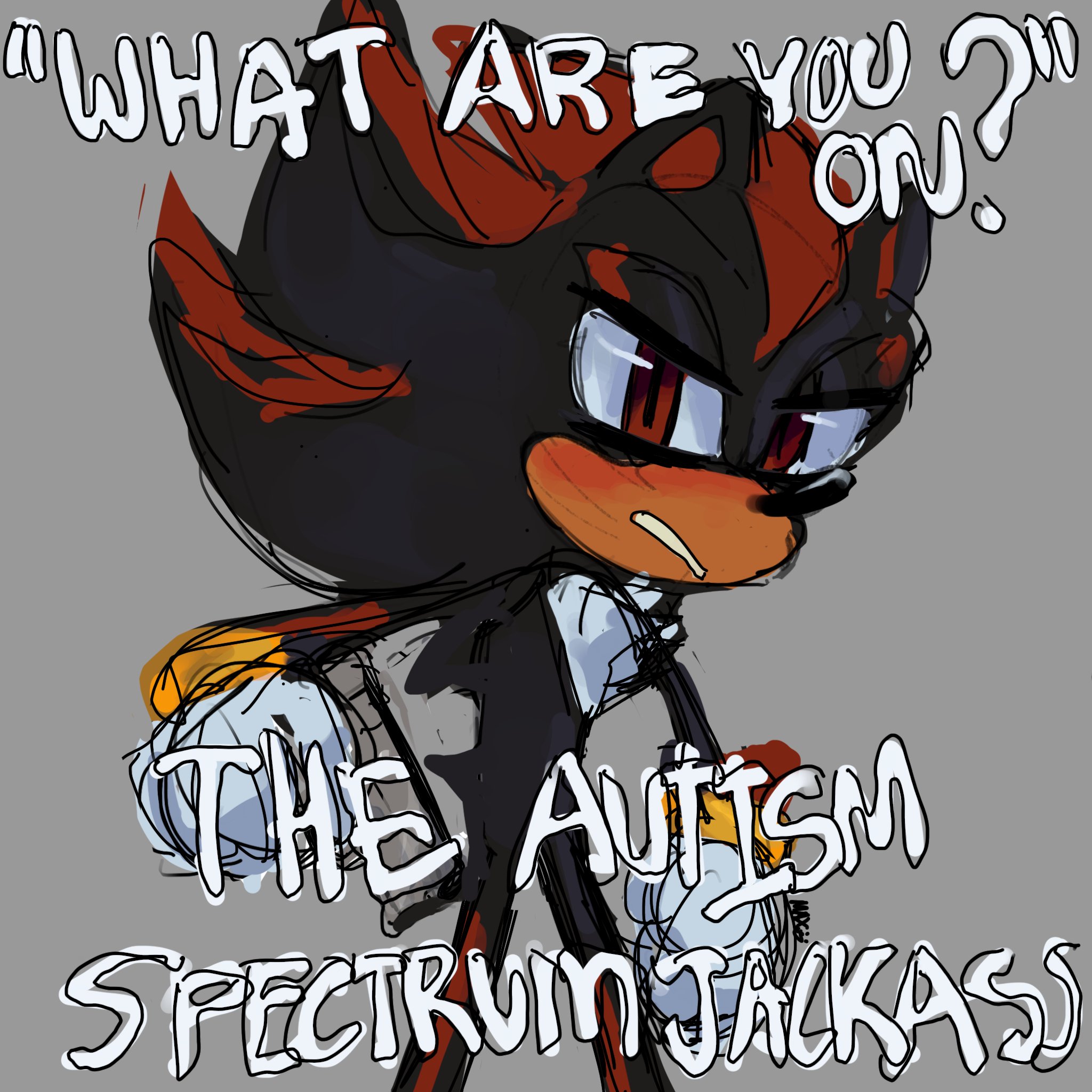 Autistic Hedgehog Memes By Golly Do I Need To Continue Writing My