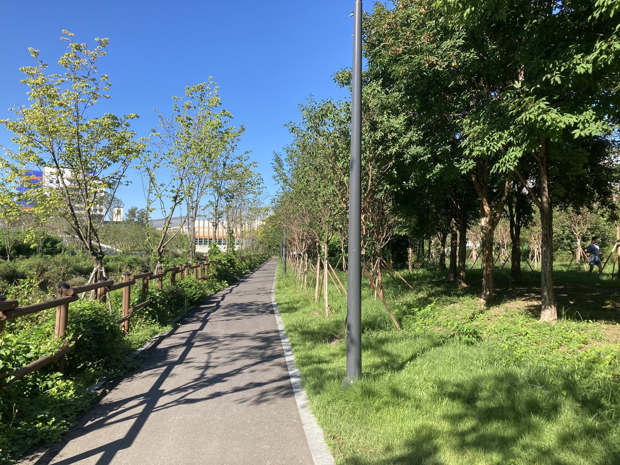 @ListBeing/Ryu / Twitter