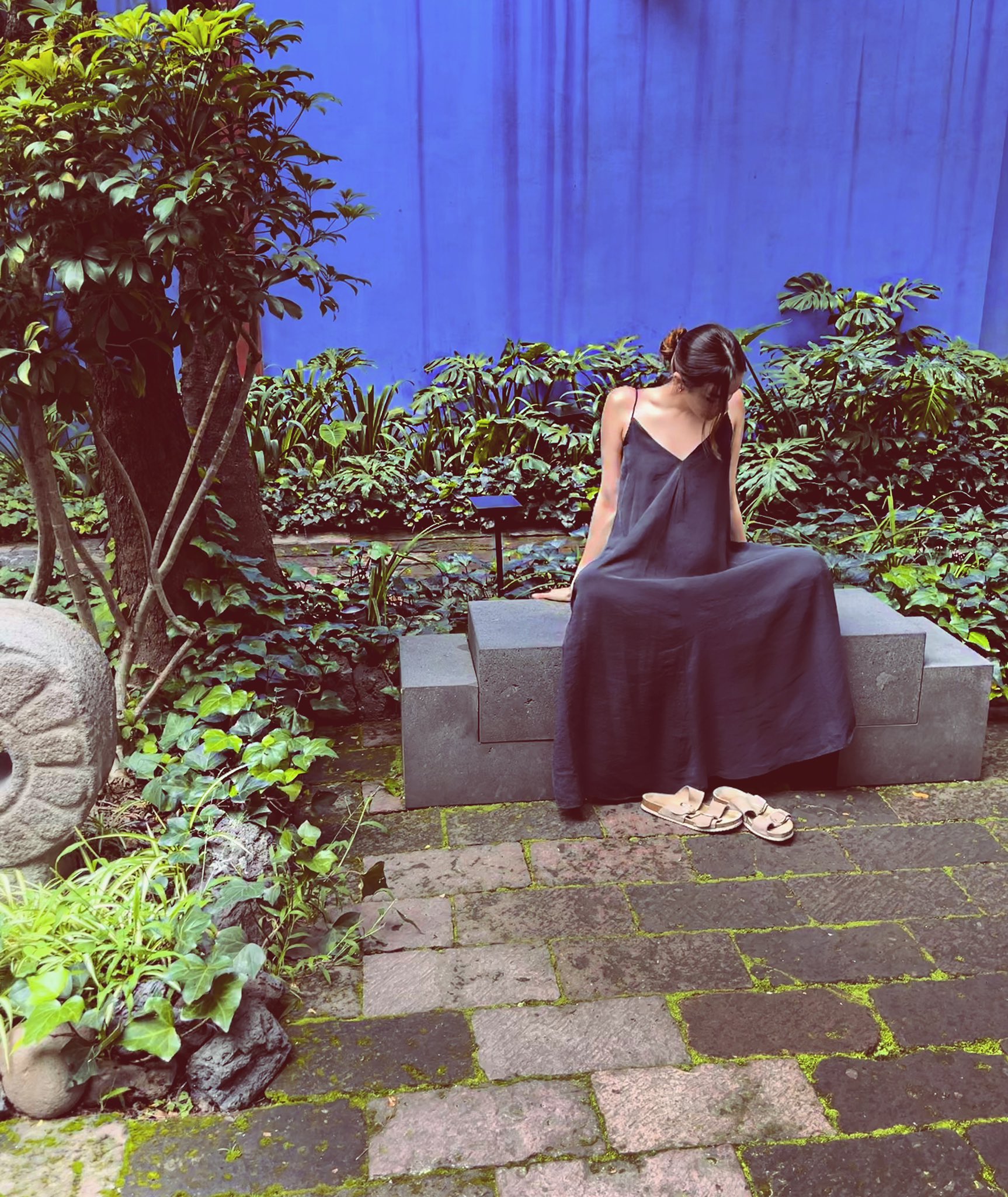 Alejandra Aguayo on Twitter: "Casa Azul. 💙 https://t.co/xTDr3CbnIe" / Twitter