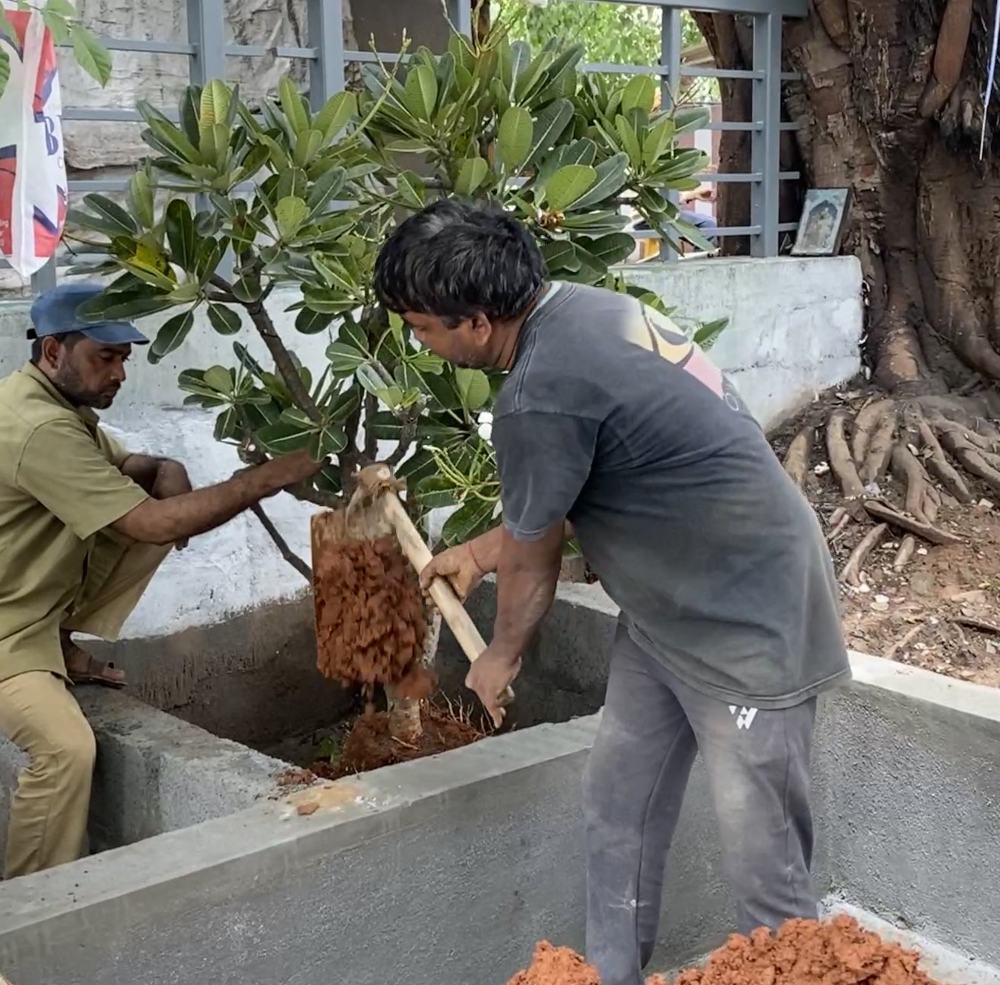 Bincy Joseph (@Curiouss2021) / Twitter