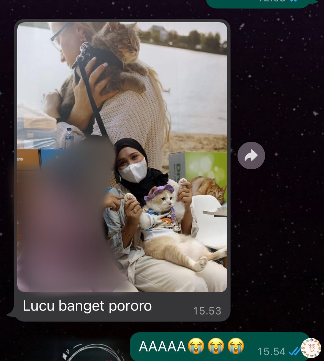 Teman 🐈 on Twitter: "irii🥲 tmnku pamer ketemu pororo 🐁 https://t.co/45Dqp2ofYB" / Twitter