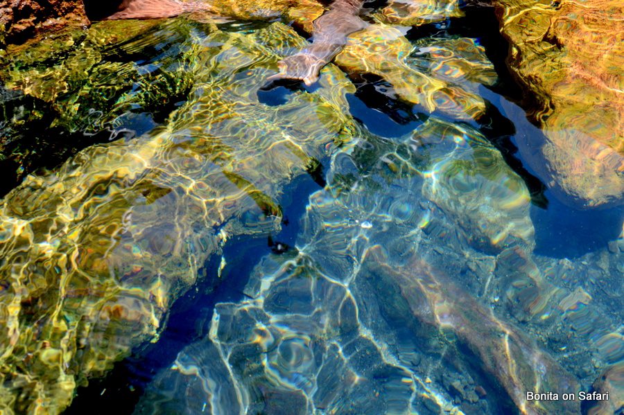 Panda Mololine shuttle pale Nyamakima,(400 bob) shuka Kikopey, call ...