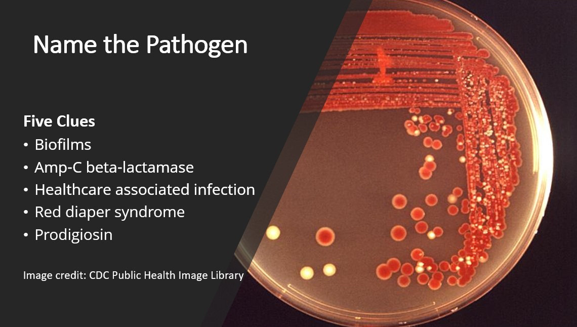 Weekend Digest Name the Pathogen Five Clues #Biofilm #AmpC β-lactamase production #HAI hospital ...