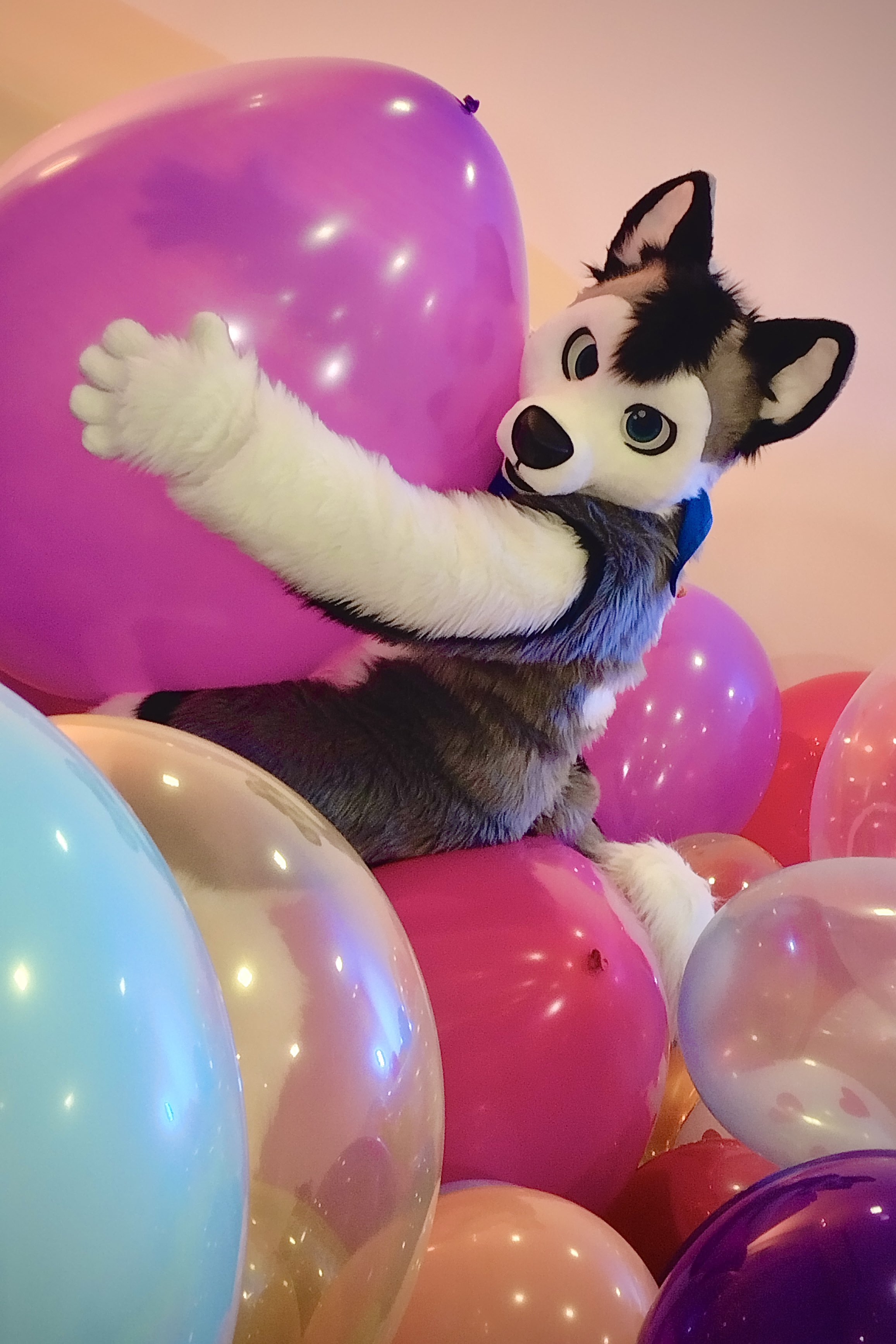 Dorky folf Skylar postEF26💜 (@Skylarfolf) / Twitter