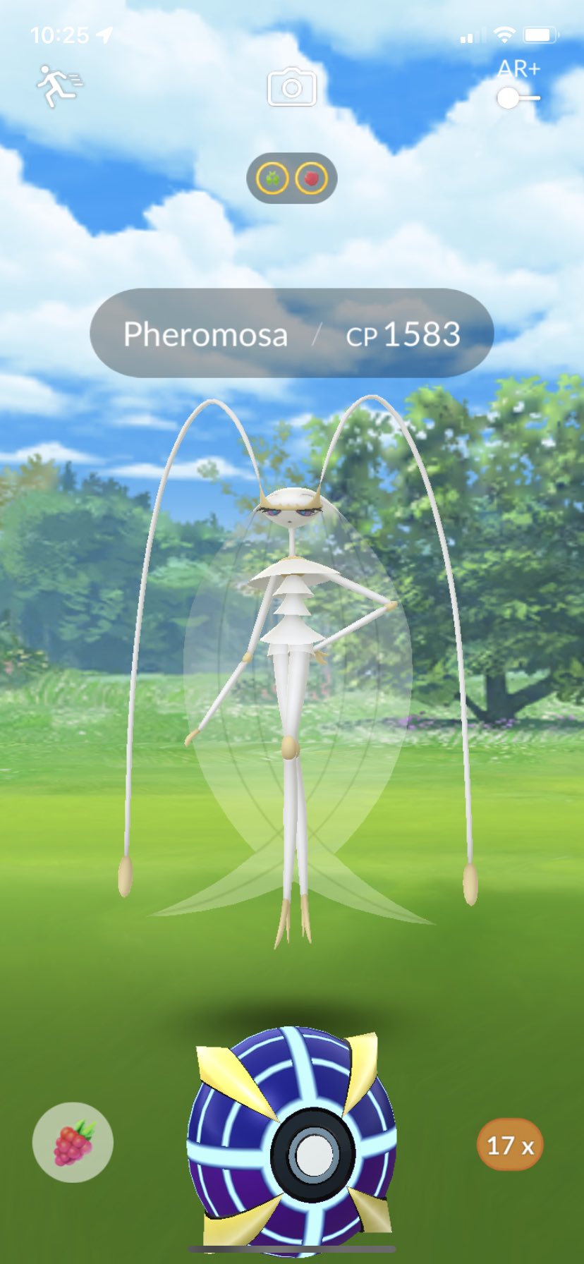 jimi on Twitter: "weird looking roach https://t.co/0qGDsMd9ua" / Twitter