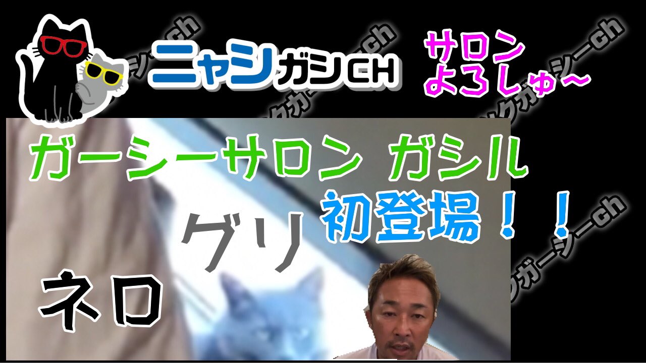 ザワツクガーシーch【公認】切り抜き部隊01 on Twitter: "ガーシーオンラインサロンGASYLE ガシルがスタート‼️ ネログリ ニャーシー達が初登場🐈‍⬛ ニャーシー達が大暴れ ...