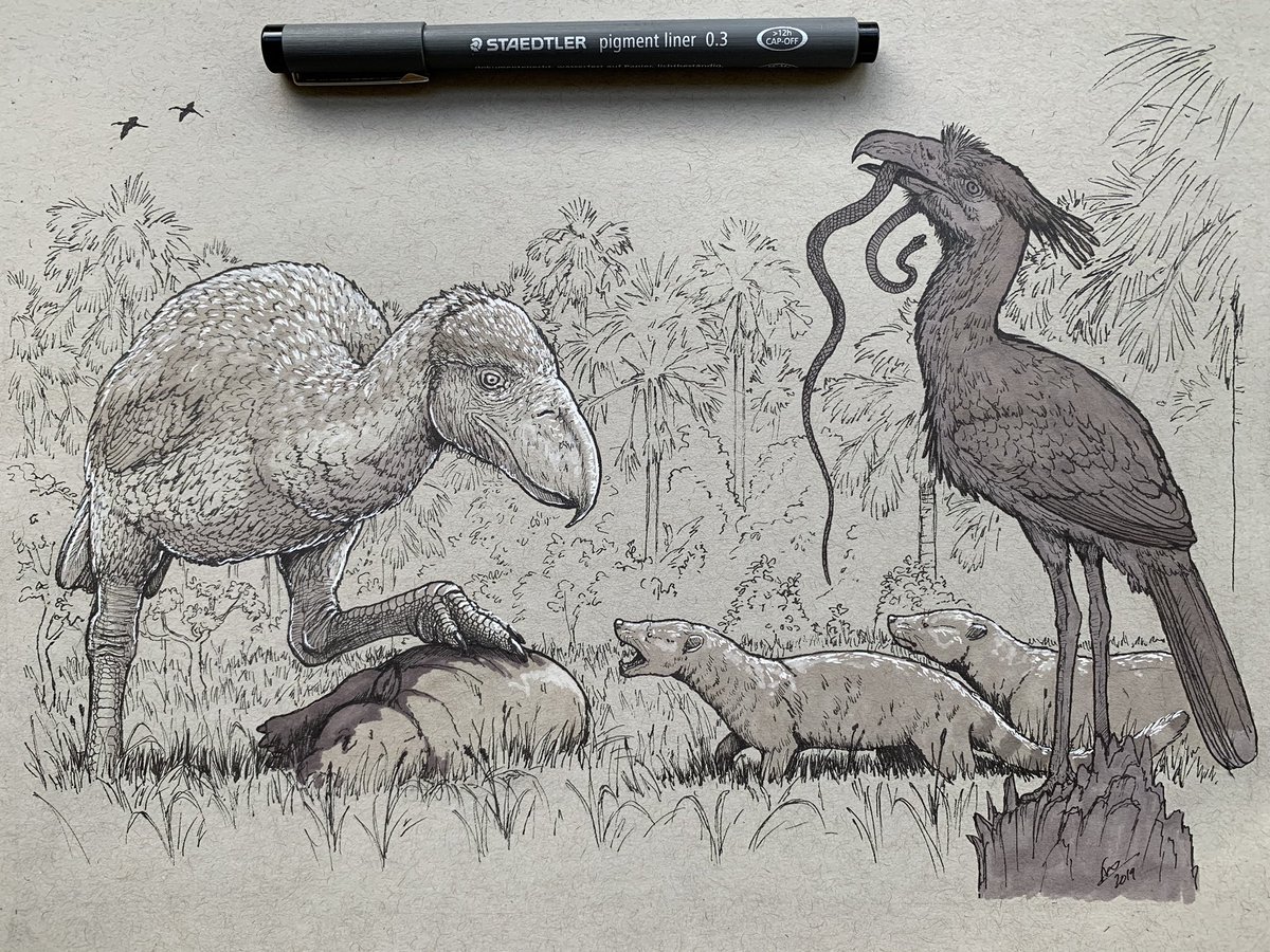 Gabriel N. U. (@SerpenIllus) さんのイラスト・マンガ作品まとめ (1,268 件) - Twoucan