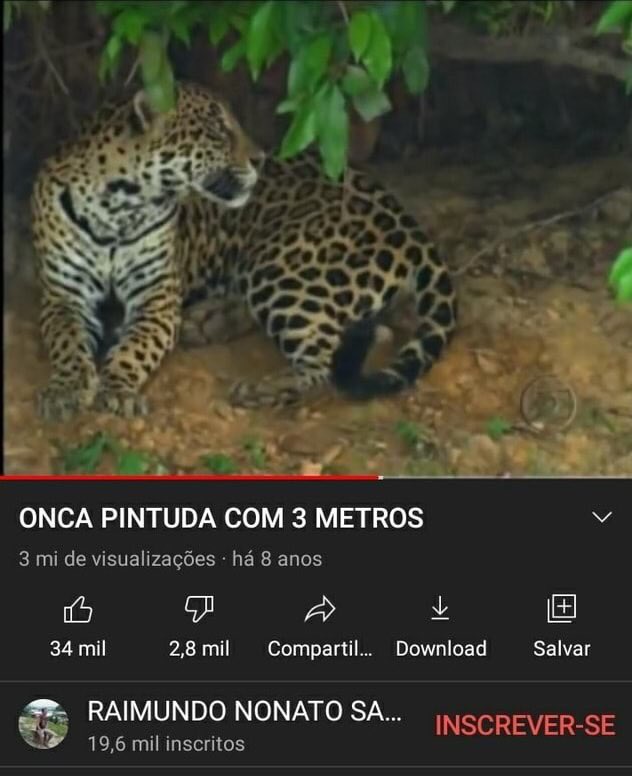 Shitpost só que de verdade on Twitter: "https://t.co/5jS274VANg" / Twitter