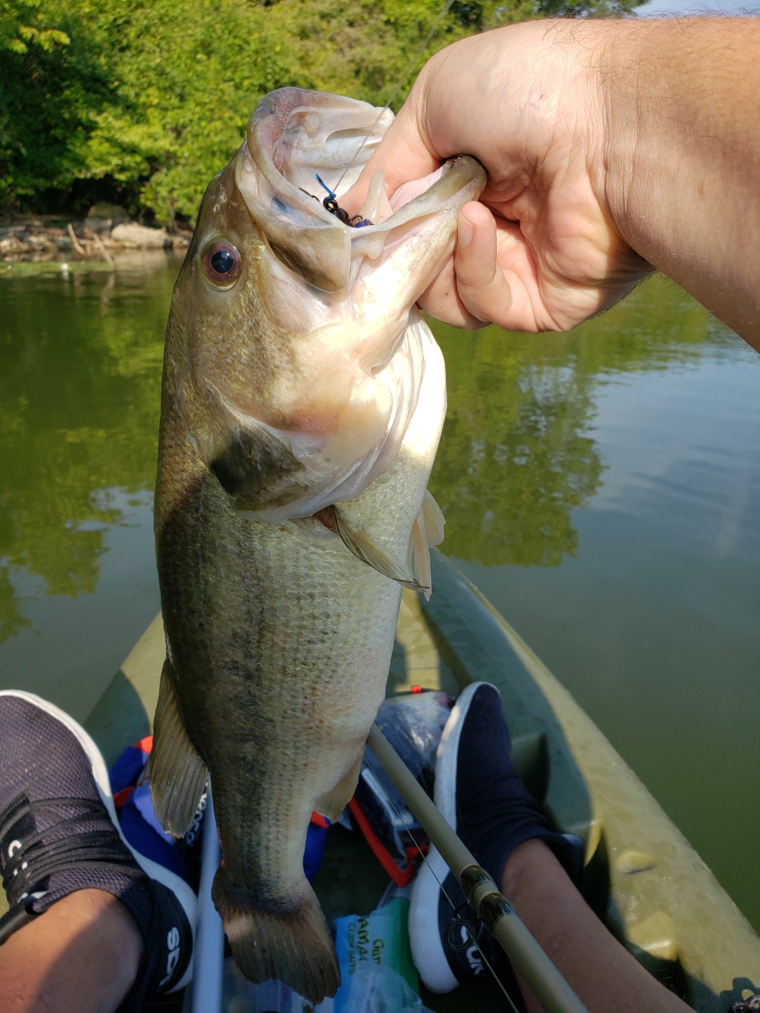 Andrew Boyce (@Andrewj89boyce) / Twitter