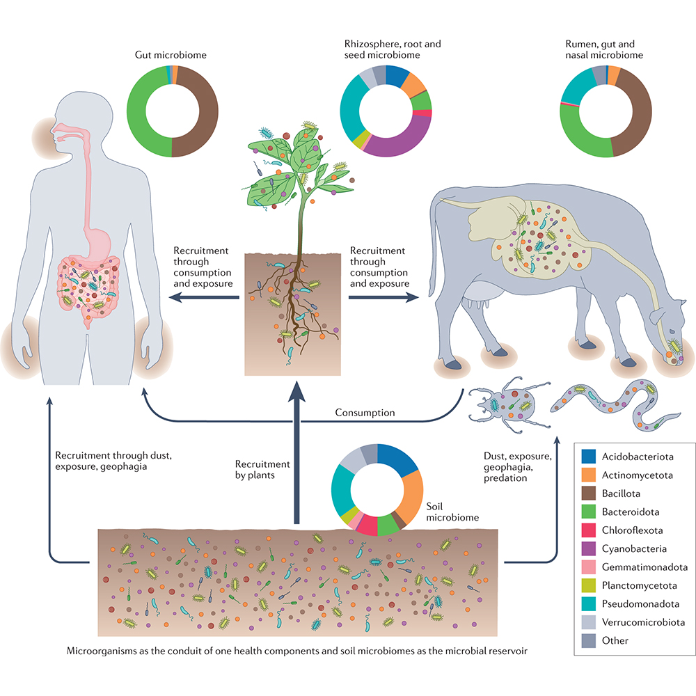 Source One Health Care