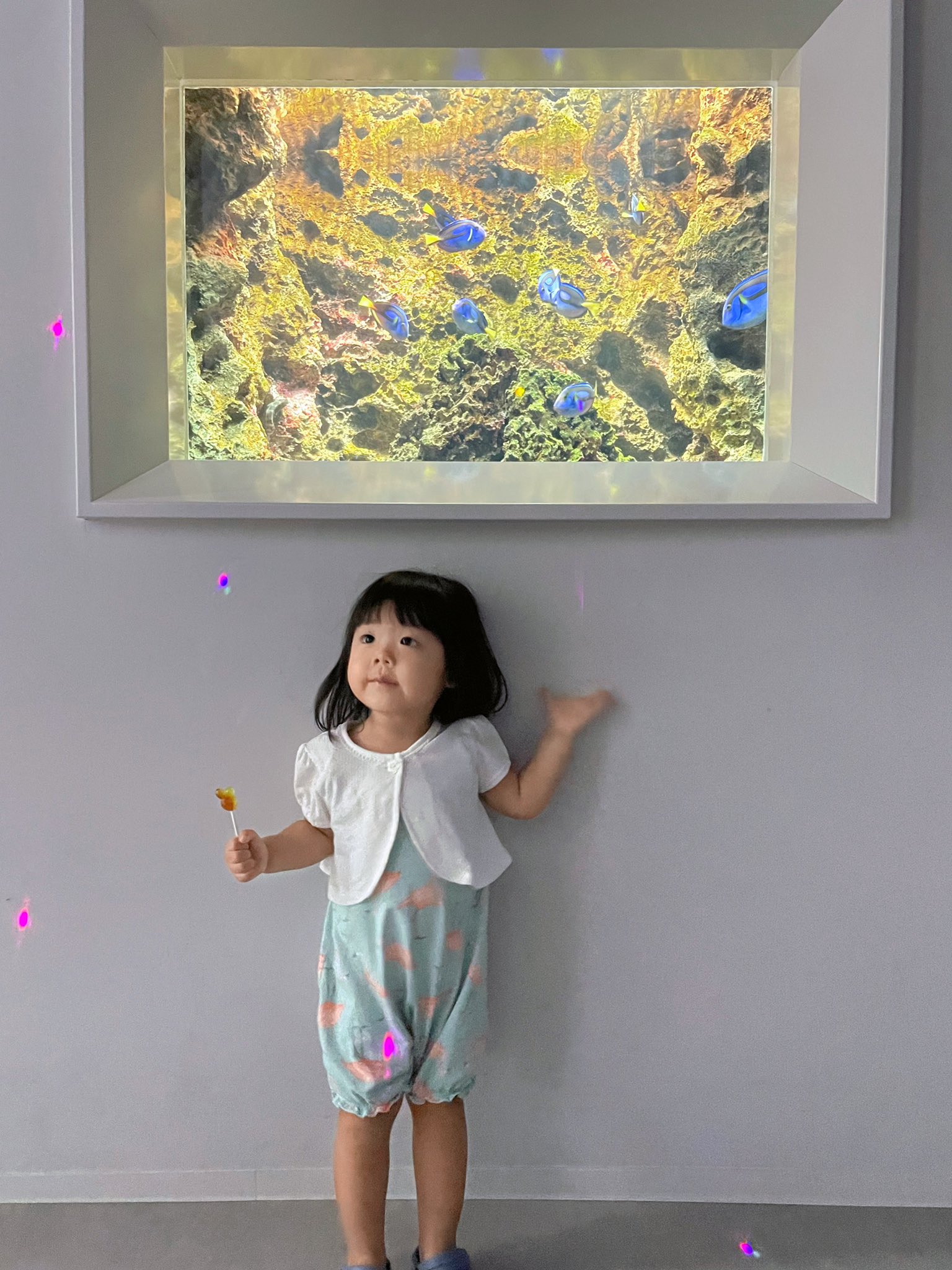 Yuki ð 3æ³åšã®ãã On Twitter Aquarium G0hlcf36pk Twitter