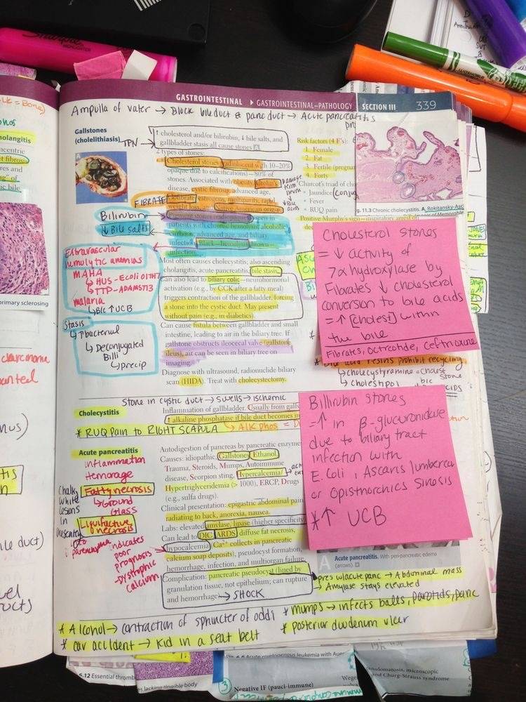 인스티즈(instiz) on Twitter: "개강을 앞둔 대학생 필독글 (링크에 더있어요👉) https://instiz.net/pt/7218263"