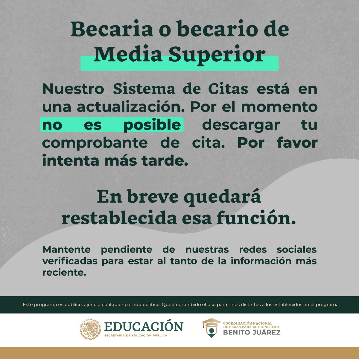 BecasBenito on Twitter: BecasBenito on Twitter: