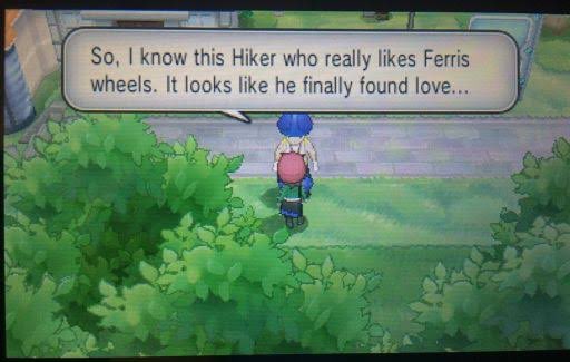 Hiker Pokemon Ferris Wheel Scene