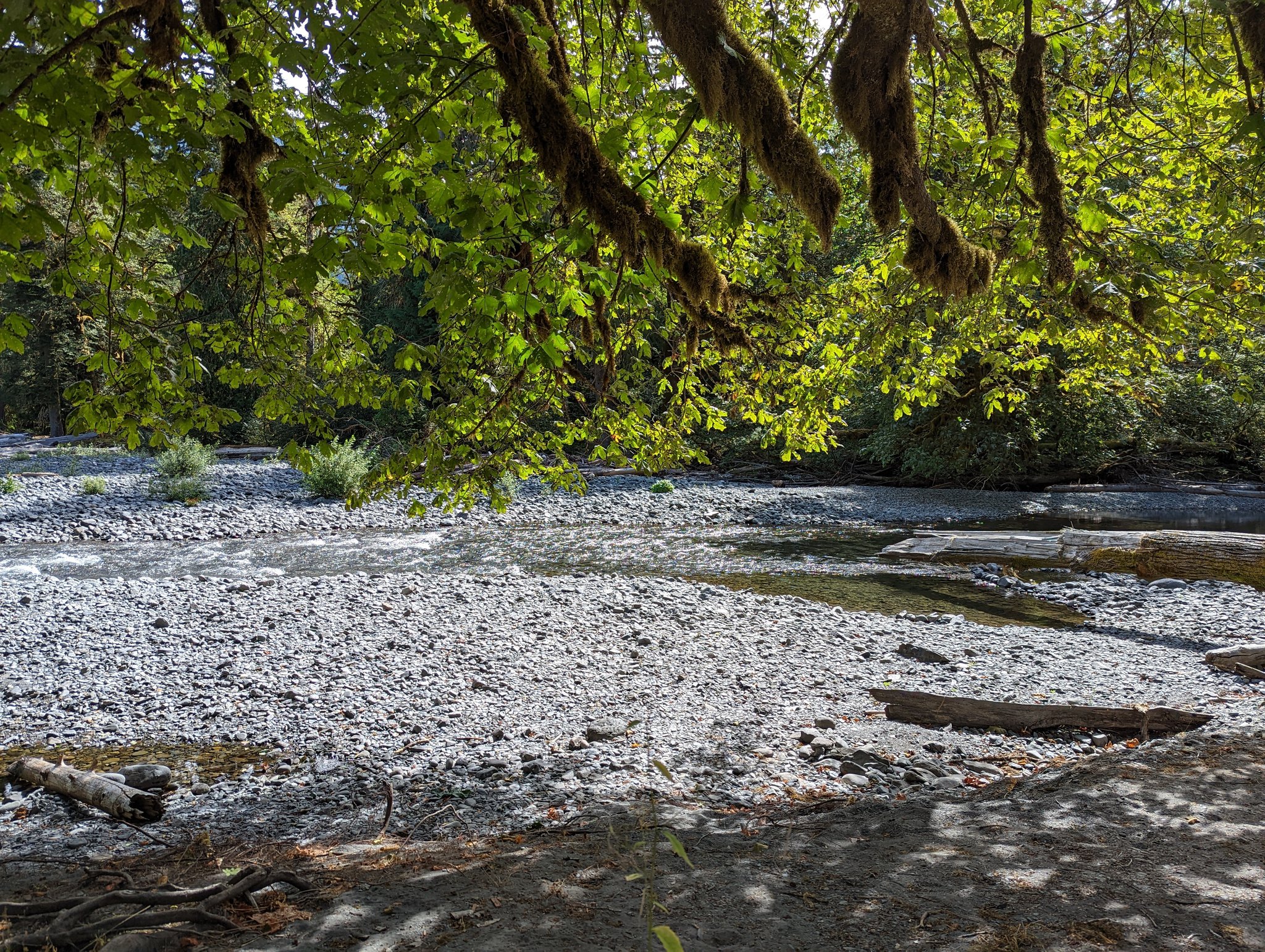 Steed Digital (@SteedDigital) / Twitter