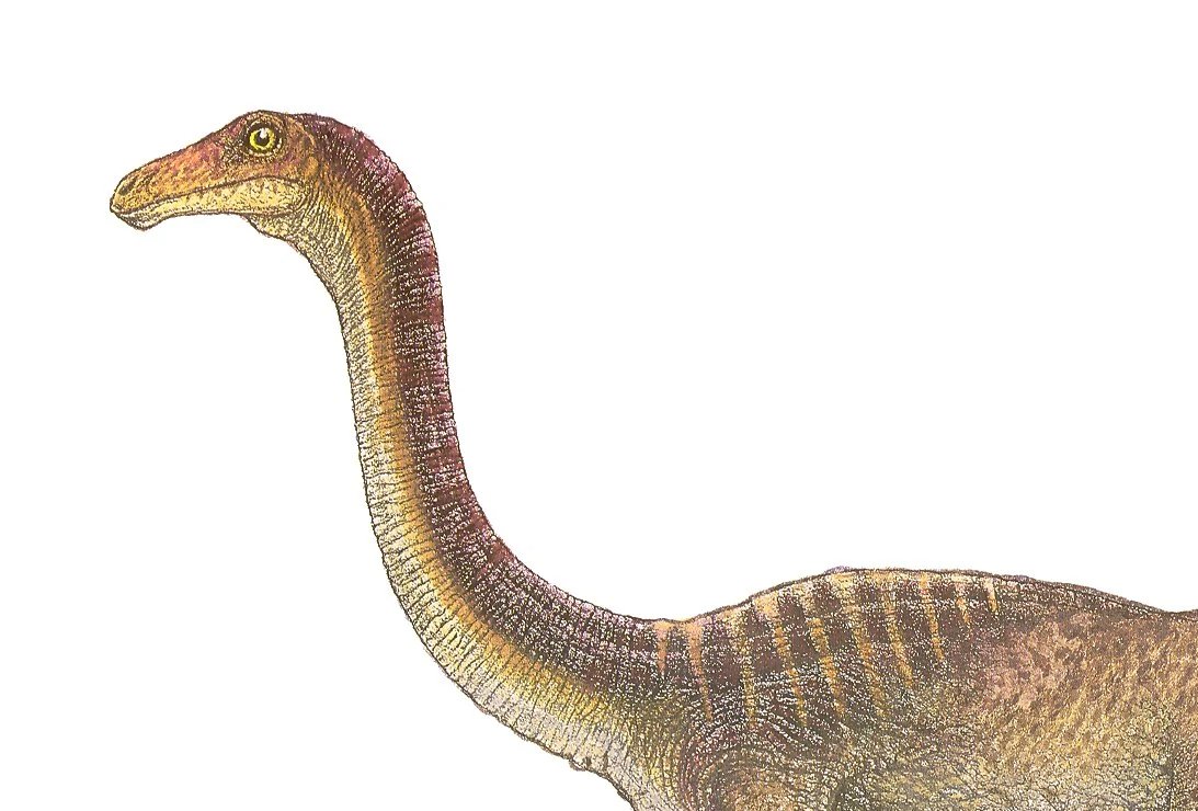 Jurassic Park Riojasaurus