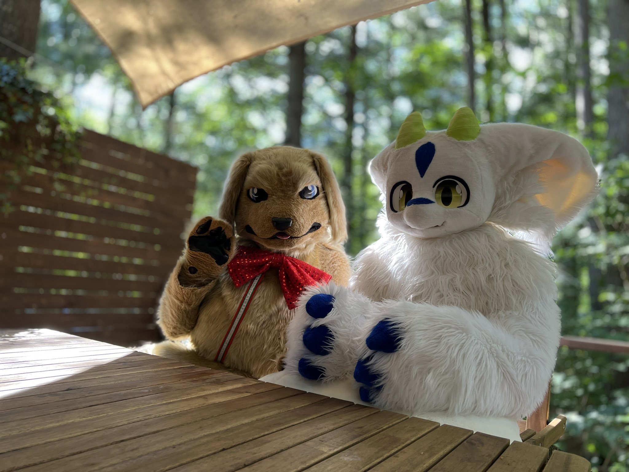 Trader_Kai (@Trader_Kai_Tiki) / Twitter