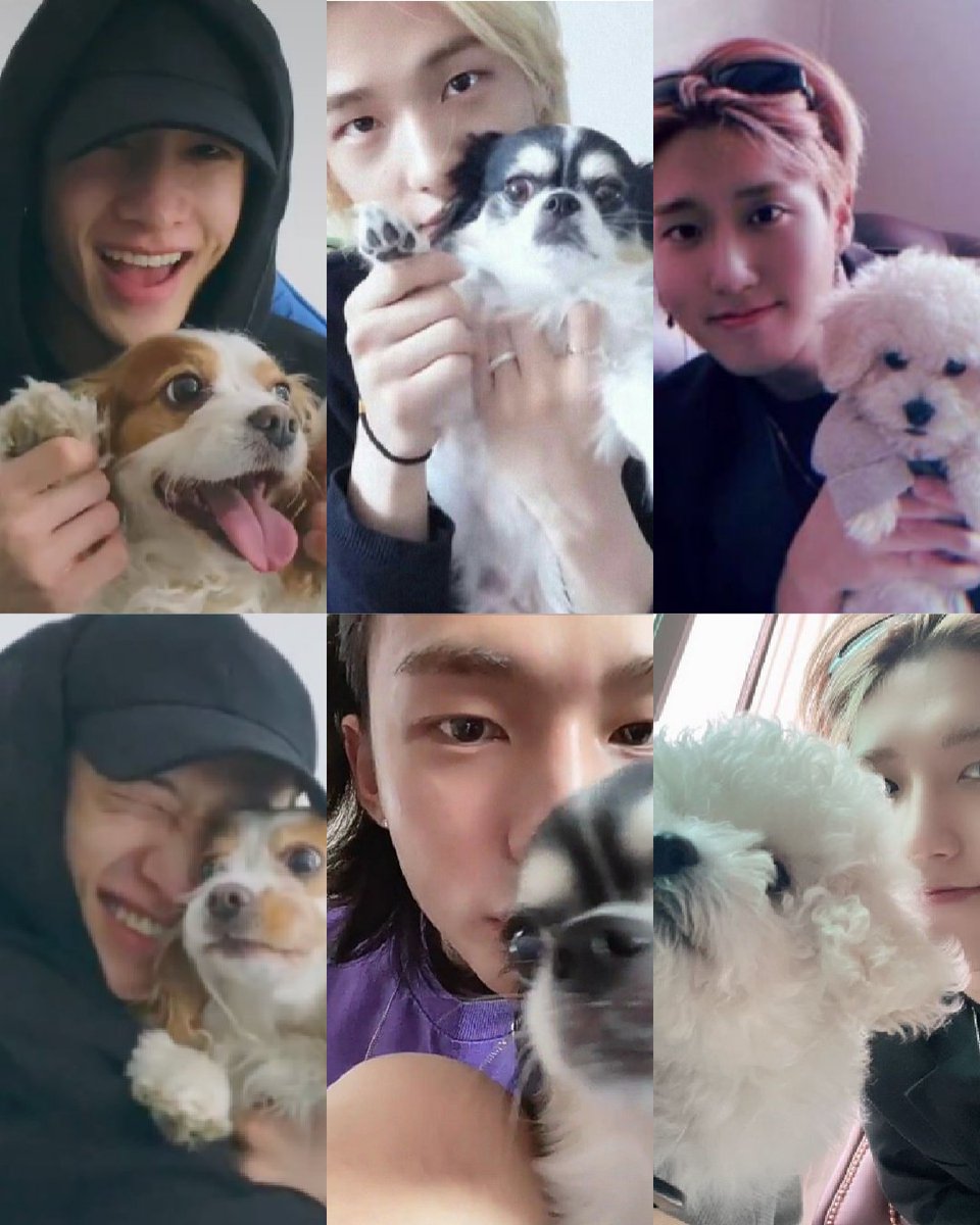 Bagel 🥯 on Twitter: "RT @04HANM1N: this chan this hyunjin this han with berry with kkami with bbama"