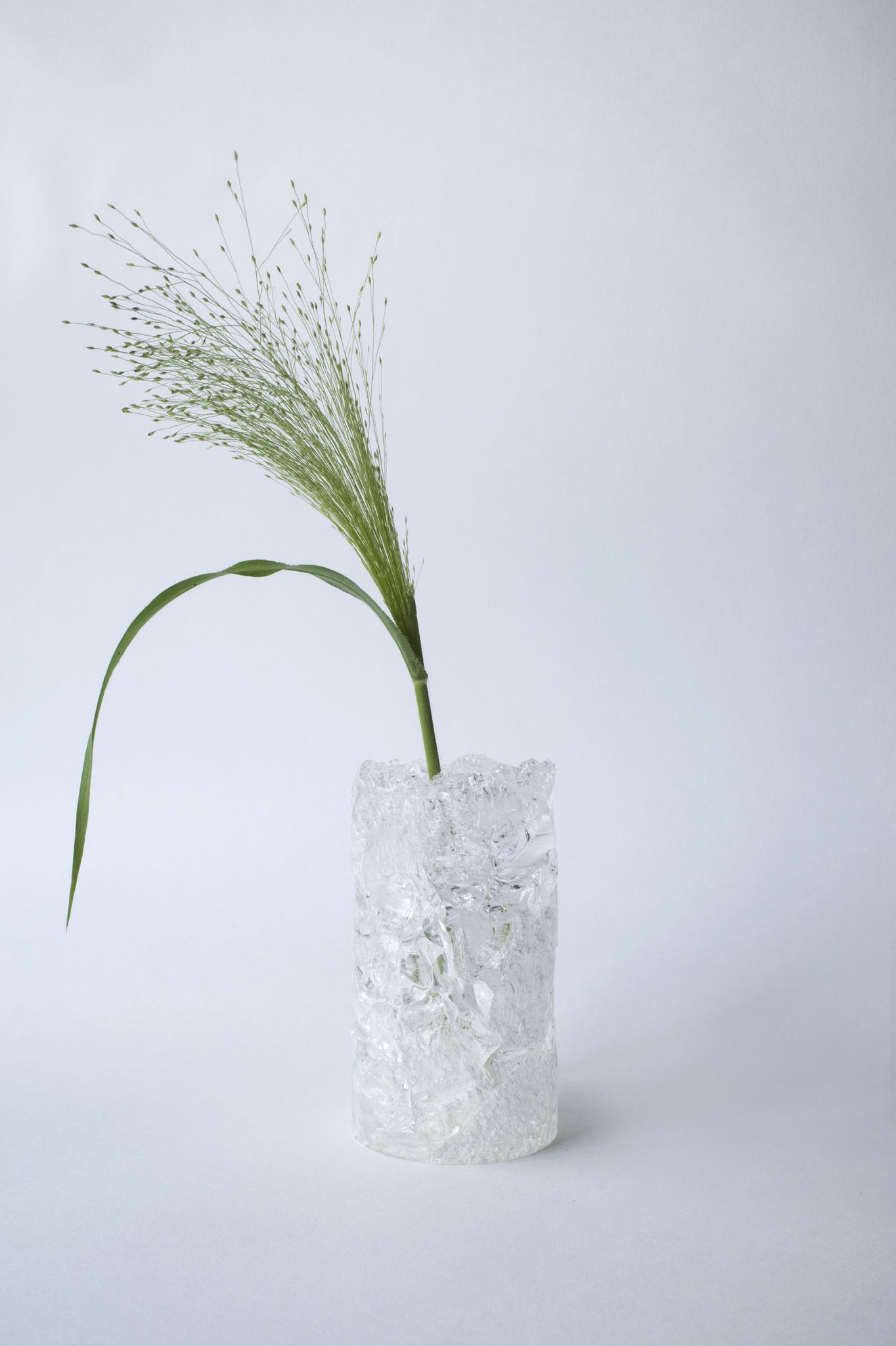 nooca on Twitter: "「CONCEPTION」 8.12 Fri. − 10.12 Wed. いつくし 東京都目黒区青葉台1-30-2 平日 11じ－21じ 水金 12じ－22 ...