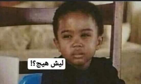 ديوث زوجتي ام طيز On Twitter امنت بيهم ودخلتهم بيتنه الحقراء يخلون الوالدة تلحس رجلينهم