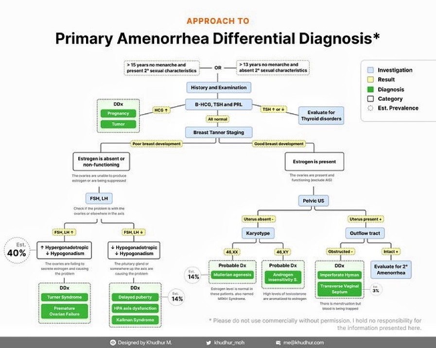 Differential Diagnosis Flowchart