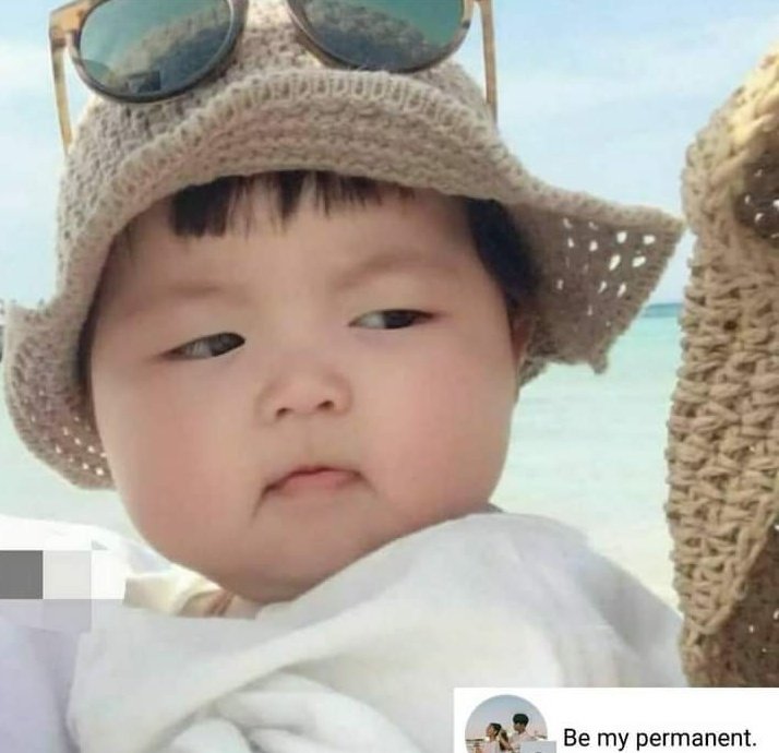 𝓐𝓱𝓸𝓷𝓪 💫 on Twitter: "Same vibe"