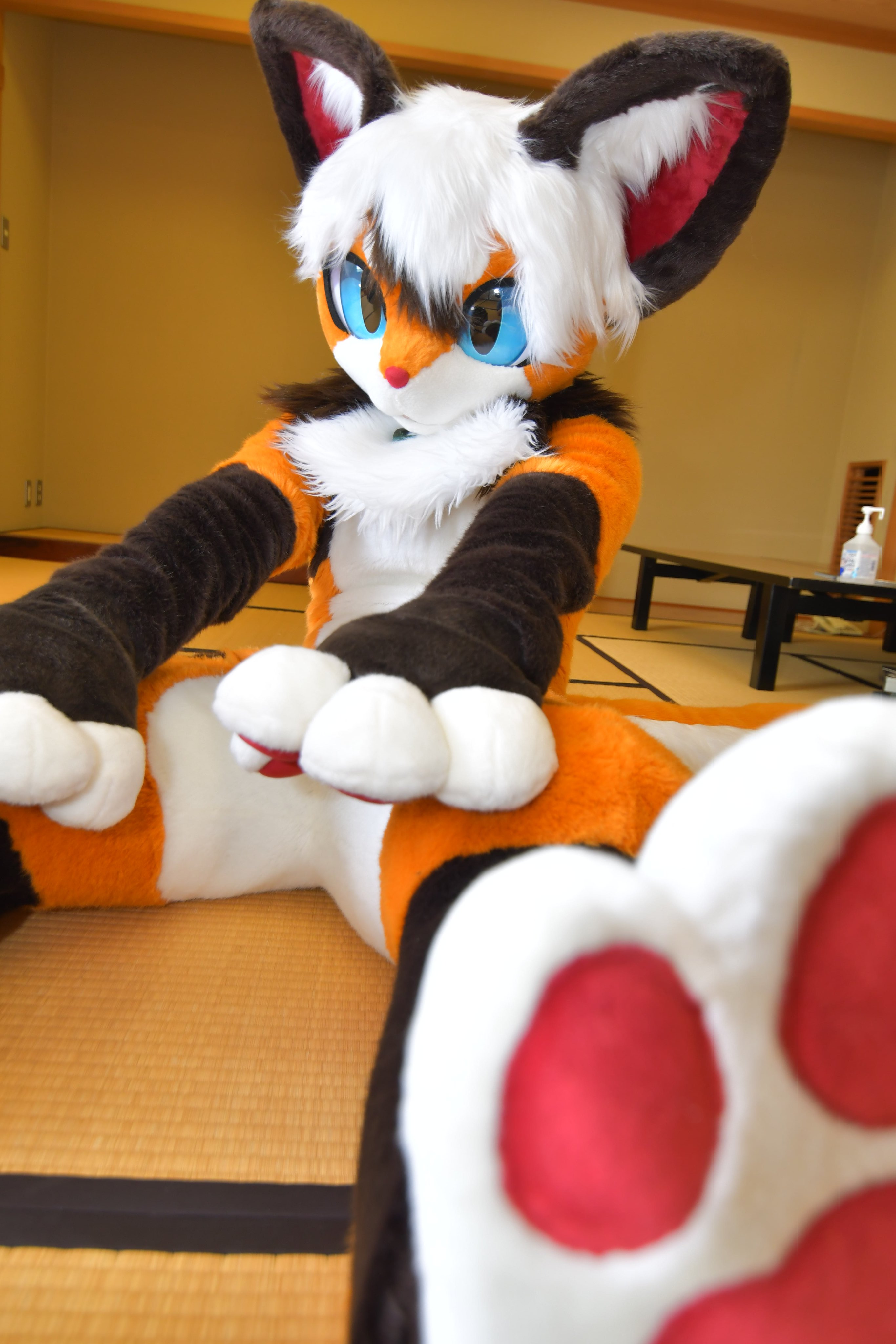 Trader_Kai (@Trader_Kai_Tiki) / Twitter