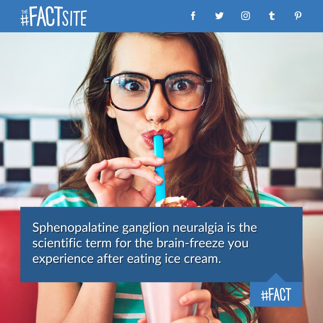 The Fact Site On Twitter Sphenopalatine Ganglion Neuralgia Is The the-fact-site-on-twitter-sphenopalatine-ganglion-neuralgia-is-the