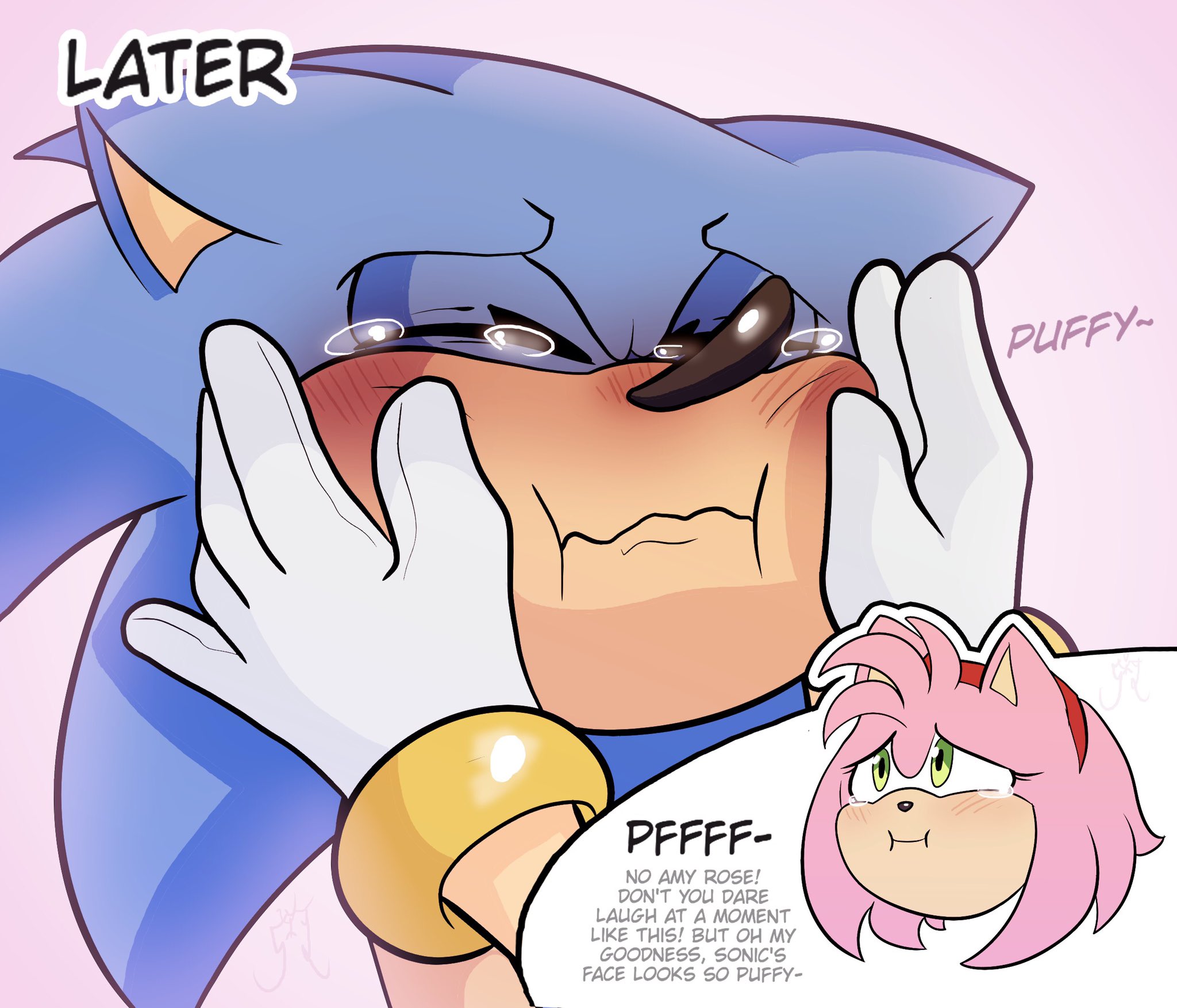 Amy Rose The Hedgehog Crying