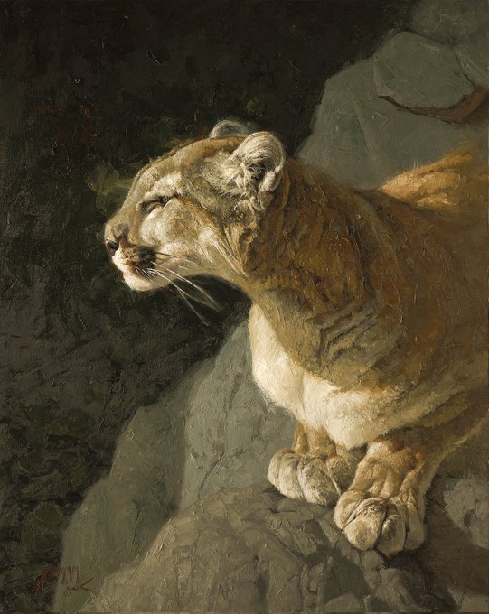 Greg Beecham Studio (@gregbeechamart) さんのイラスト・マンガ作品まとめ (37 件) - Twoucan