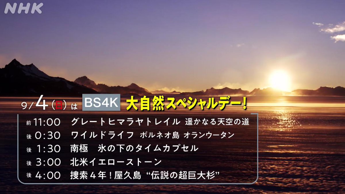 動画NOW on Twitter: "林田理沙 が出演する NHK BS4K 9月4日 大自然スペシャルデーPR 動画 https://douganow.jp/archives ...