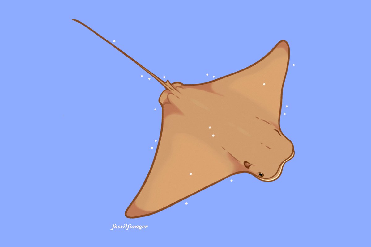 cownoseのTwitterイラスト検索結果。